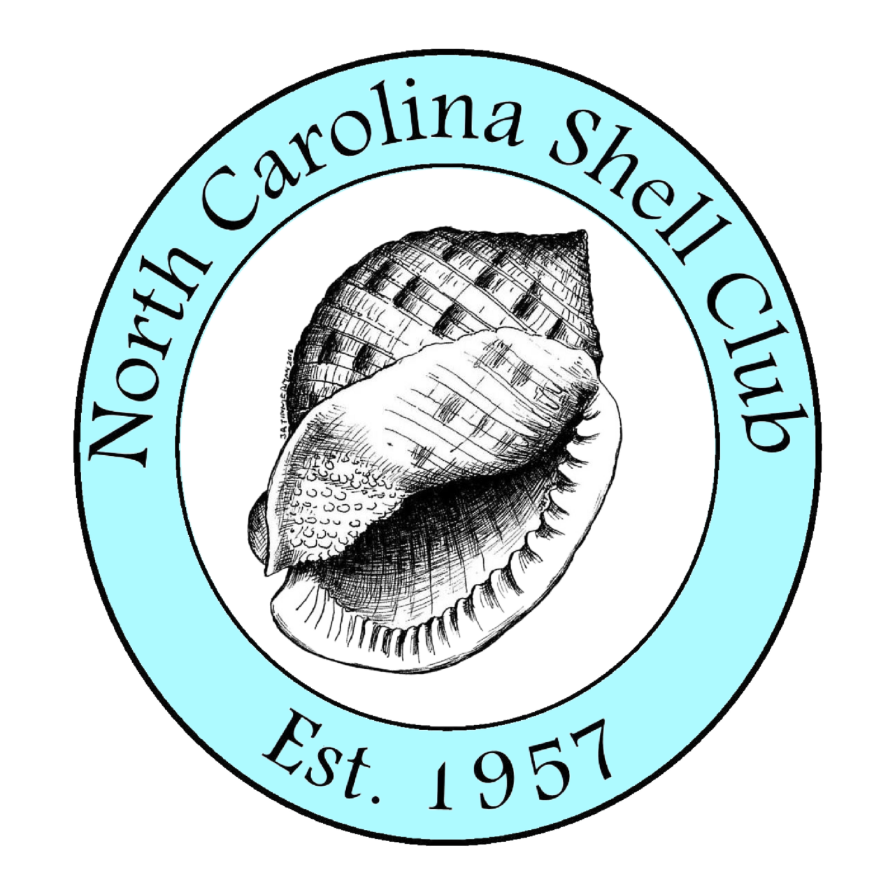 State Shell | NC Shell Club