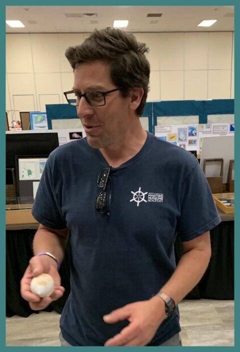 State Shell | NC Shell Club