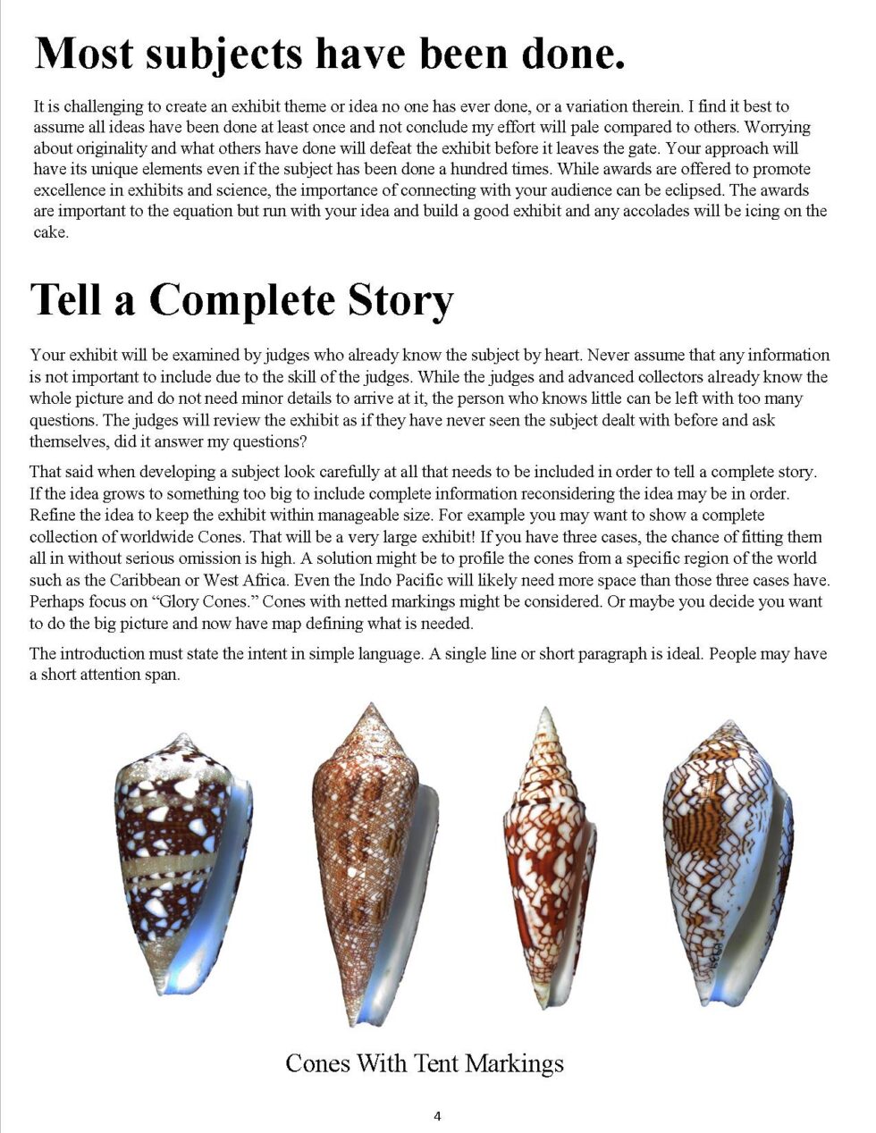 How To Build A Shell Show Exhibit | NC Shell Club