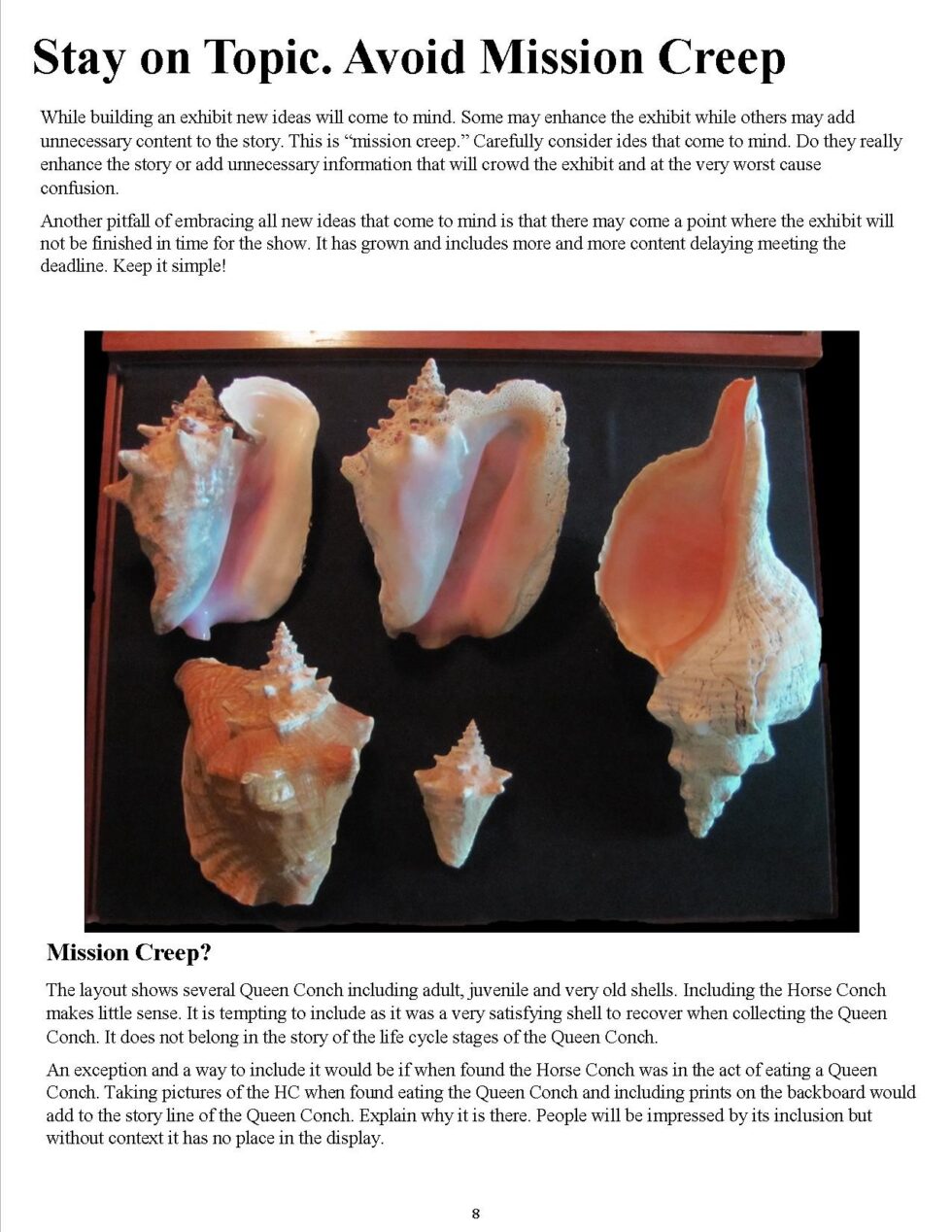 How To Build A Shell Show Exhibit | NC Shell Club